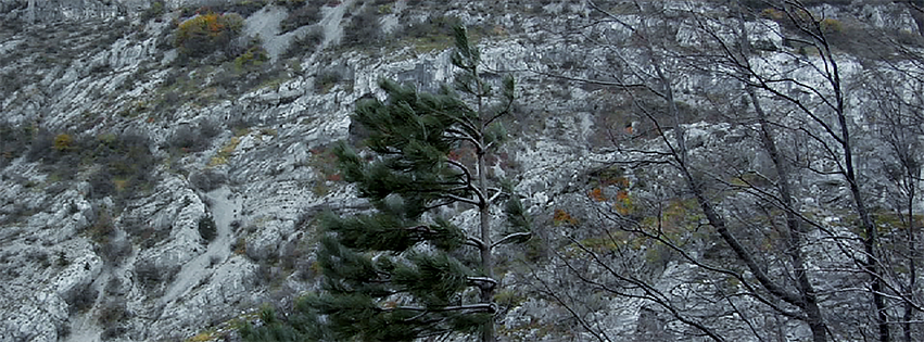 roBOt 2015: presentata la sezione A/V, dedicata alle arti visive | Zero