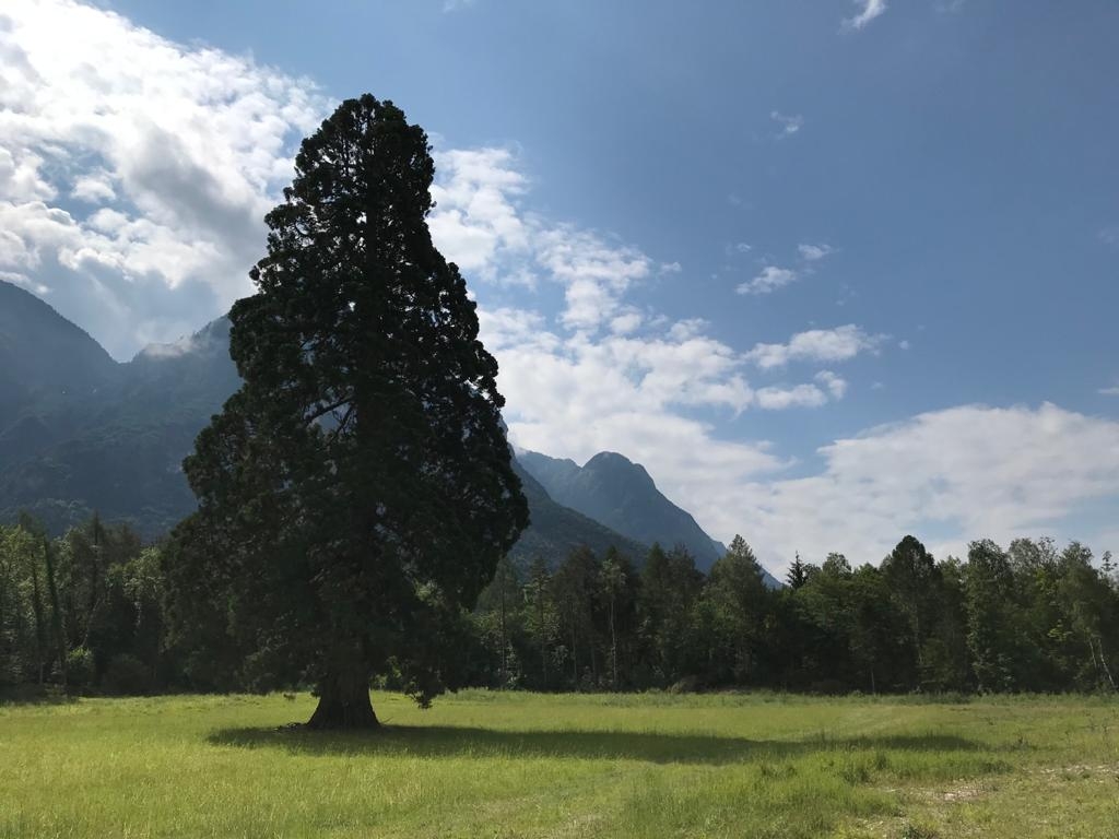 Tenuta del Faè | Zero