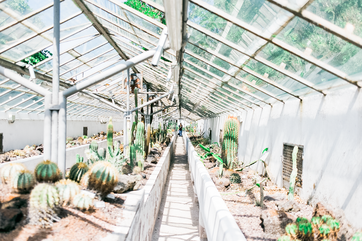 Plant Pop Up Shop | Zero