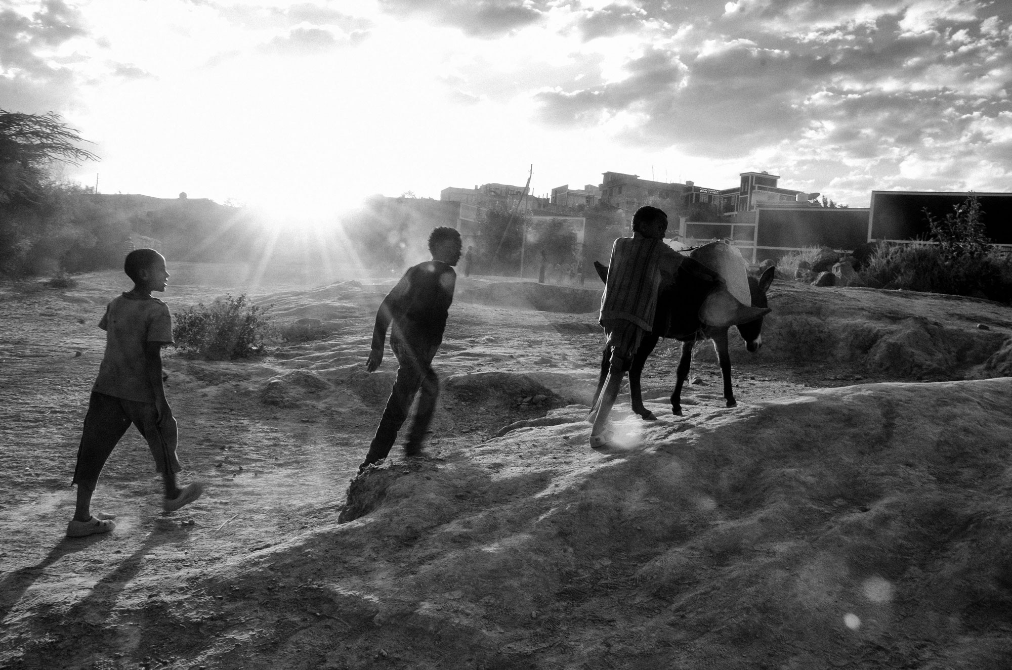 Carolina Paltrinieri: Cartoline da Adwa | Zero