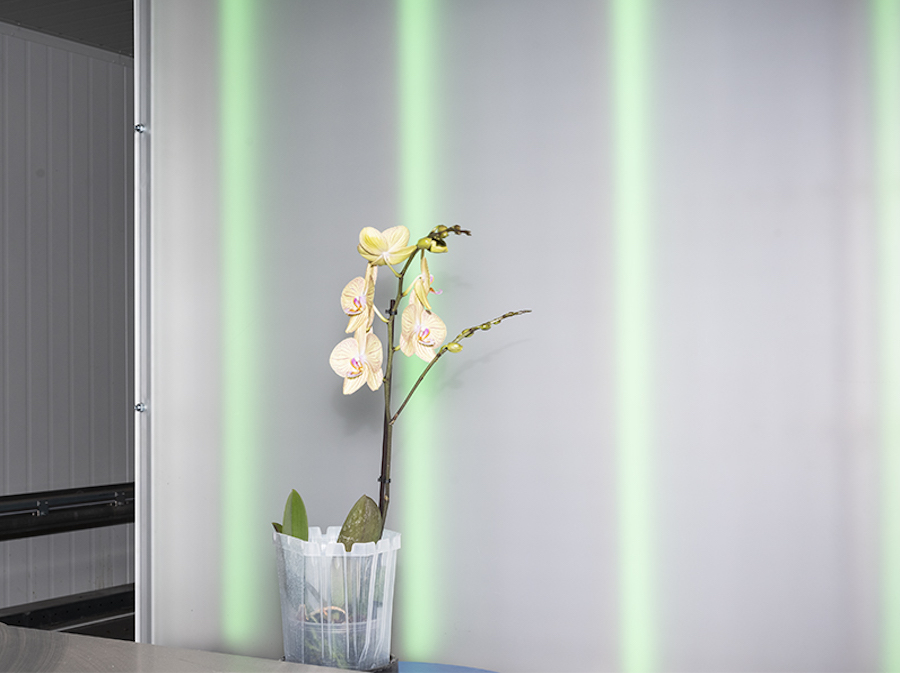 La nuova mostra del MAST con Armin Linke ed Estelle Blaschke | Zero