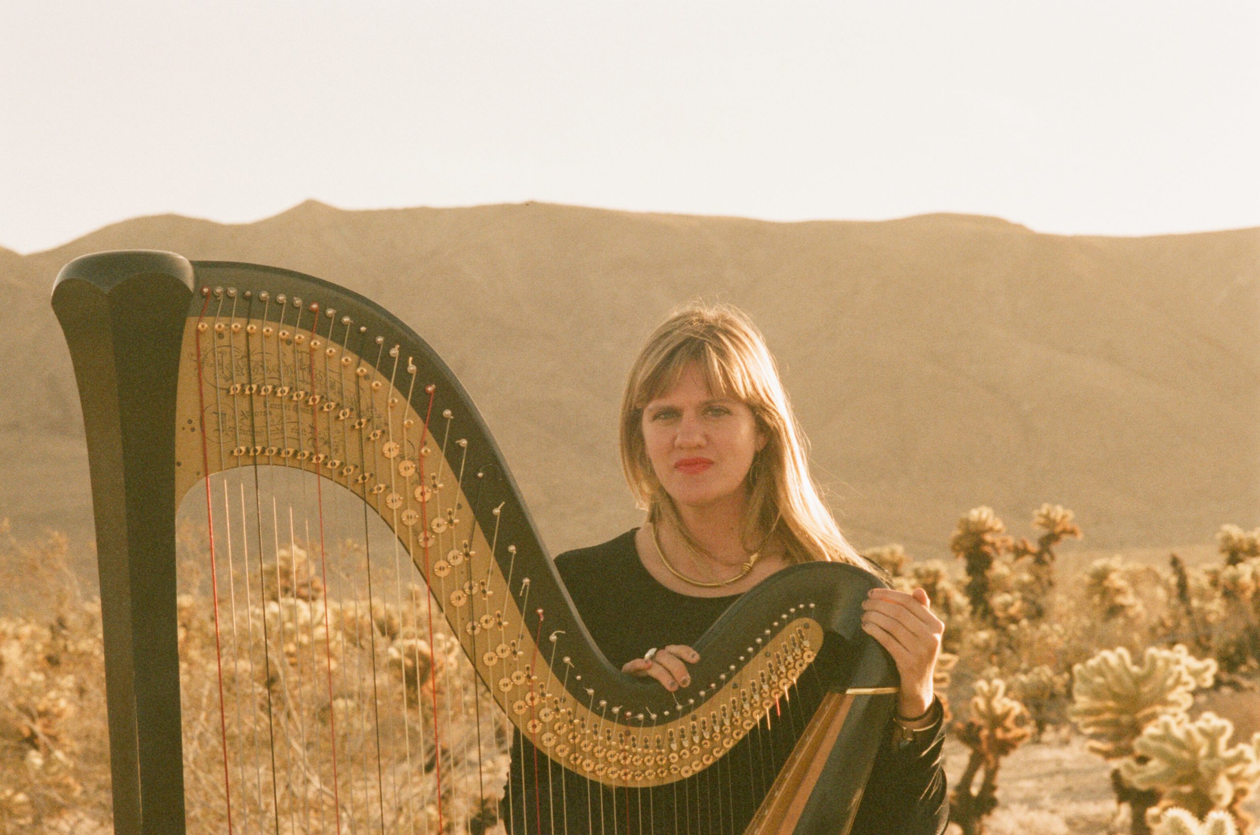 Mary Lattimore | Zero