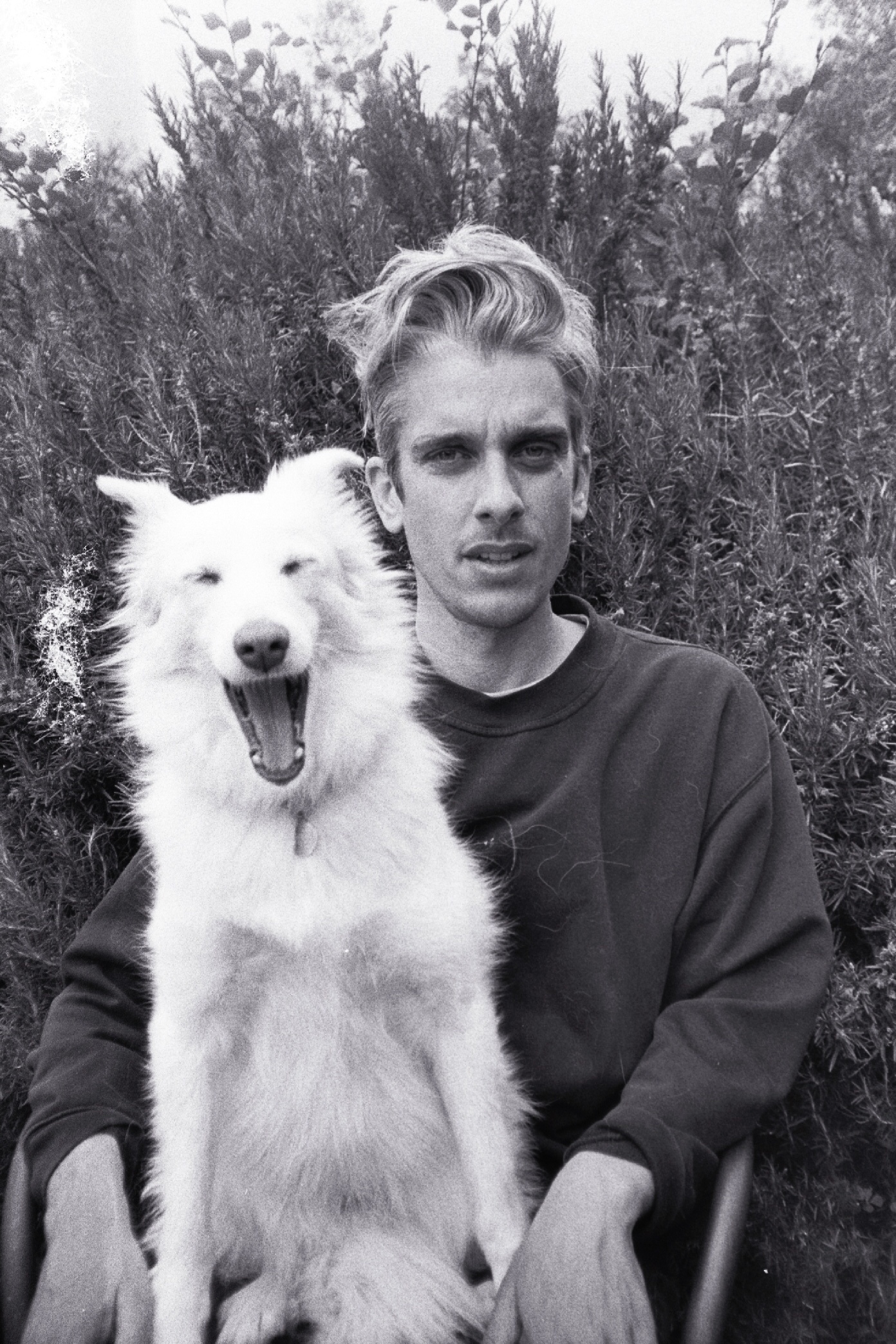 Luca Sorgato: Zio Palmiro | Zero