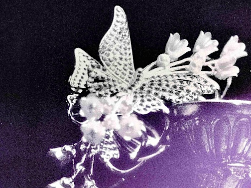 Francesca Heart: Birth Bath | Zero