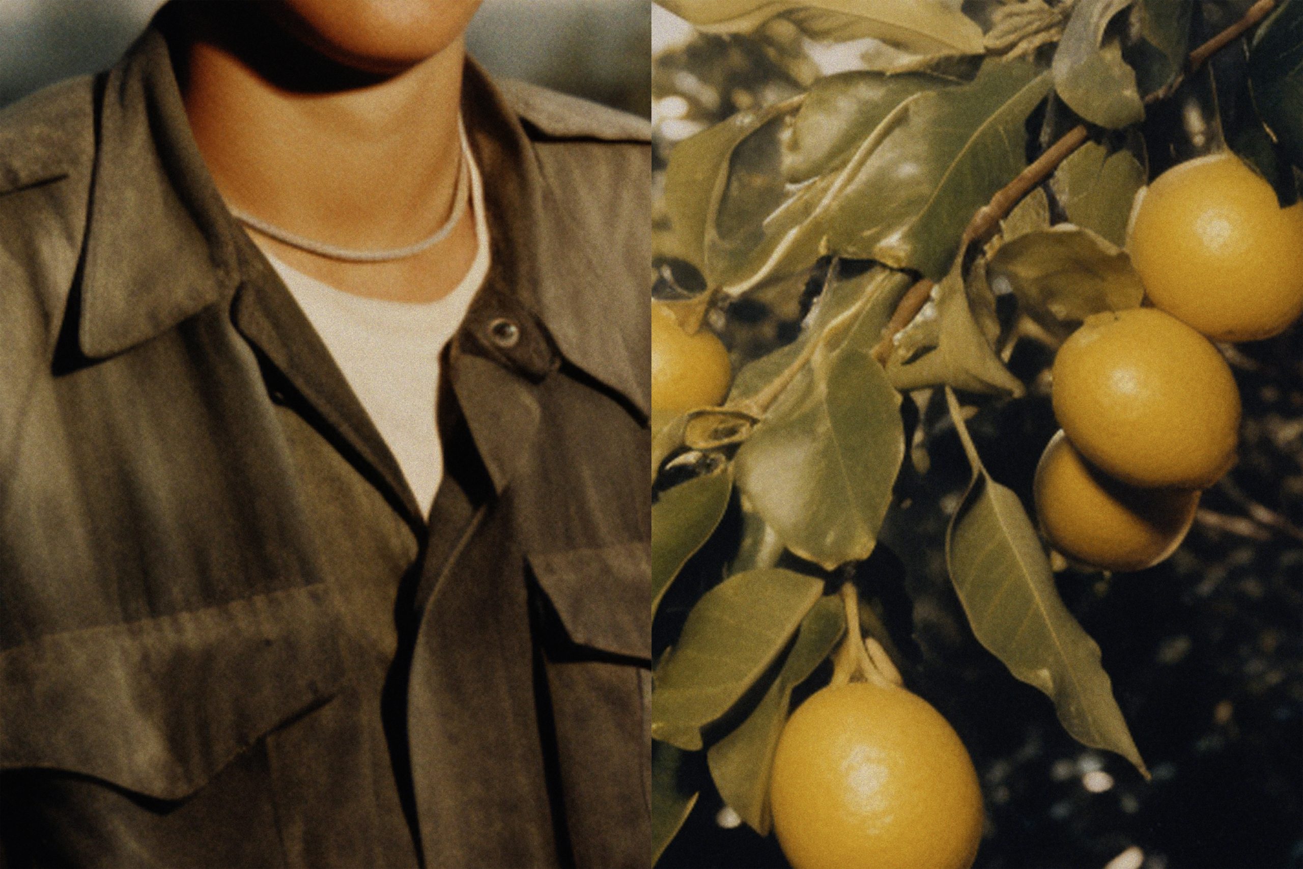 Sander Coers: Eulogy | Zero